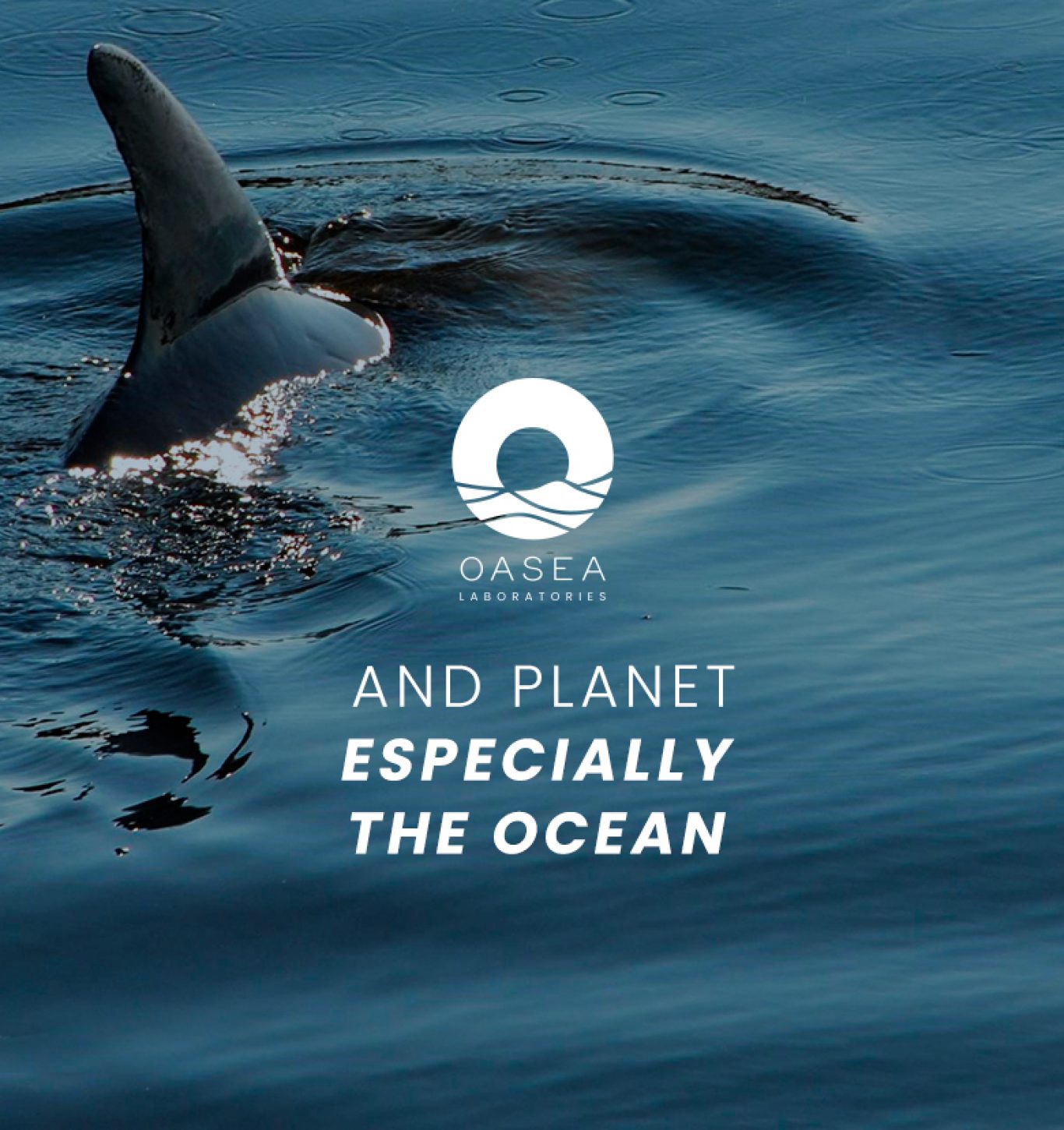 Early Access Registration - Oasea Laboratories